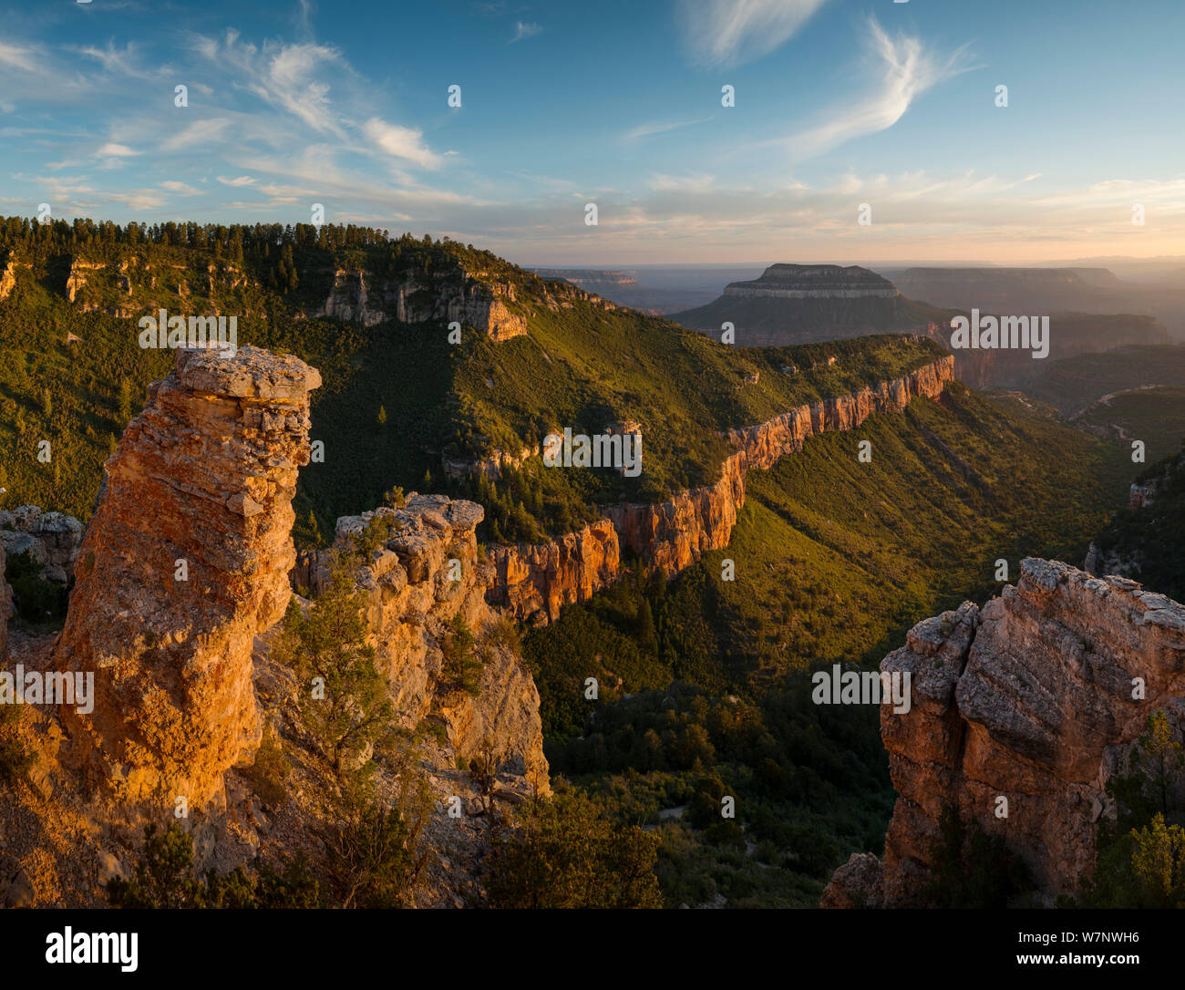 Grand Canyon National Park, Locust Point, looking at North Timp Point ...