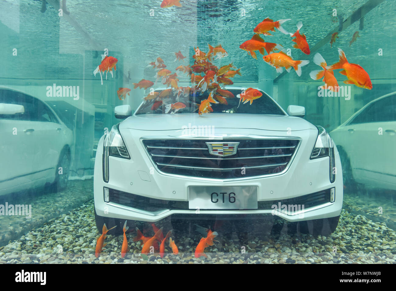 A Cadillac CT6 of SAIC-GM, a joint venture between SAIC Motor and ...