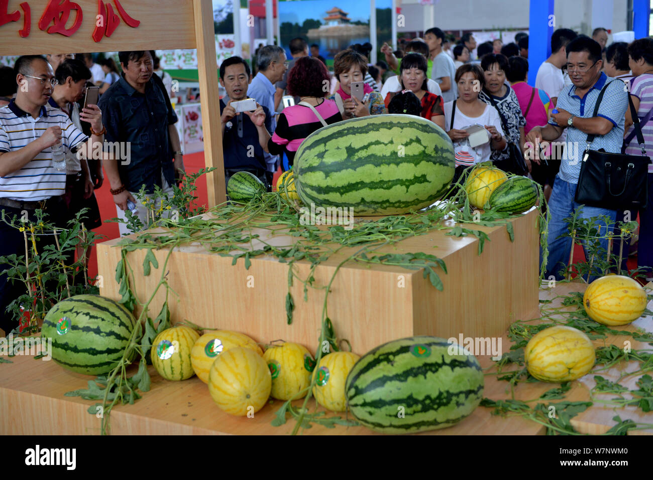 Visitors take photos of the huge watermelon weighing 127 kilograms ...