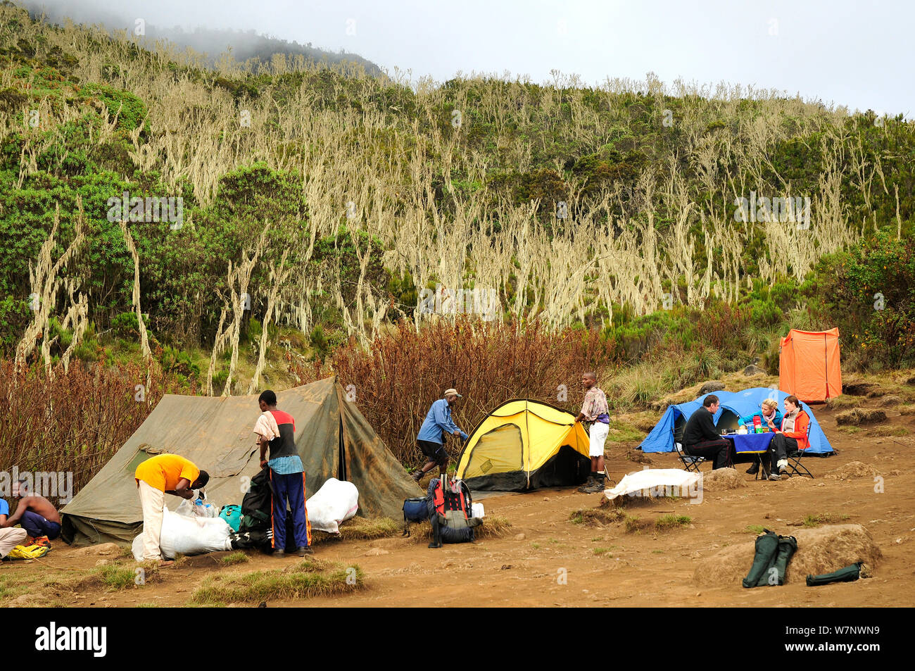 Machame camp hi-res stock photography and images - Alamy