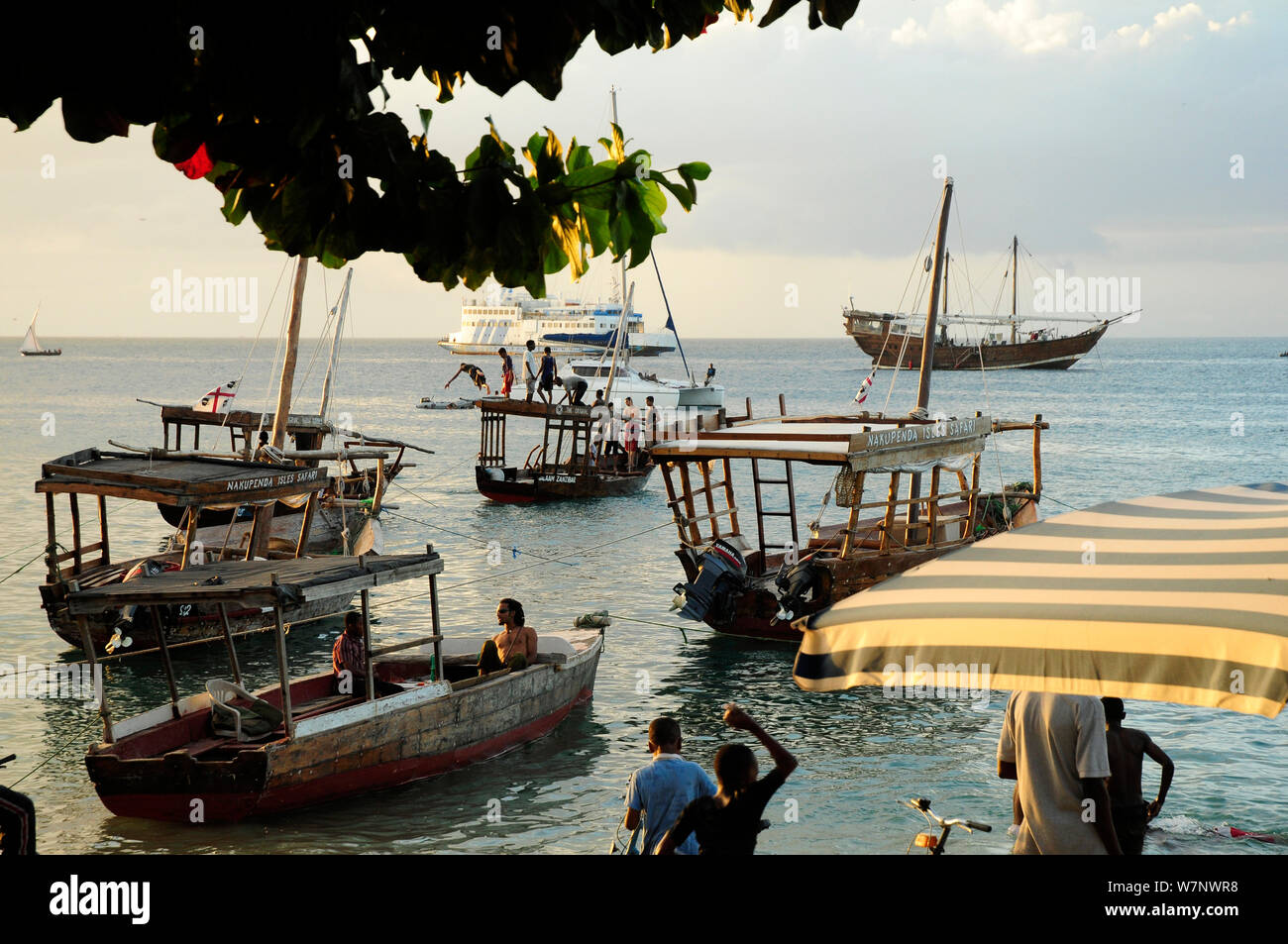 Traditional boats in coastal waters off Zanzibar Town / Stone Town ...