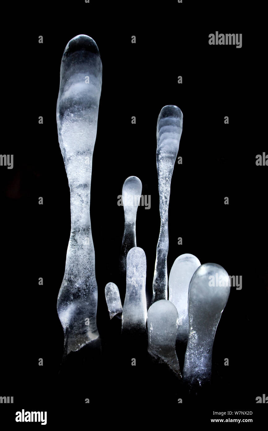 Strange ice stalagmites collect under slowly dripping water in one of ...