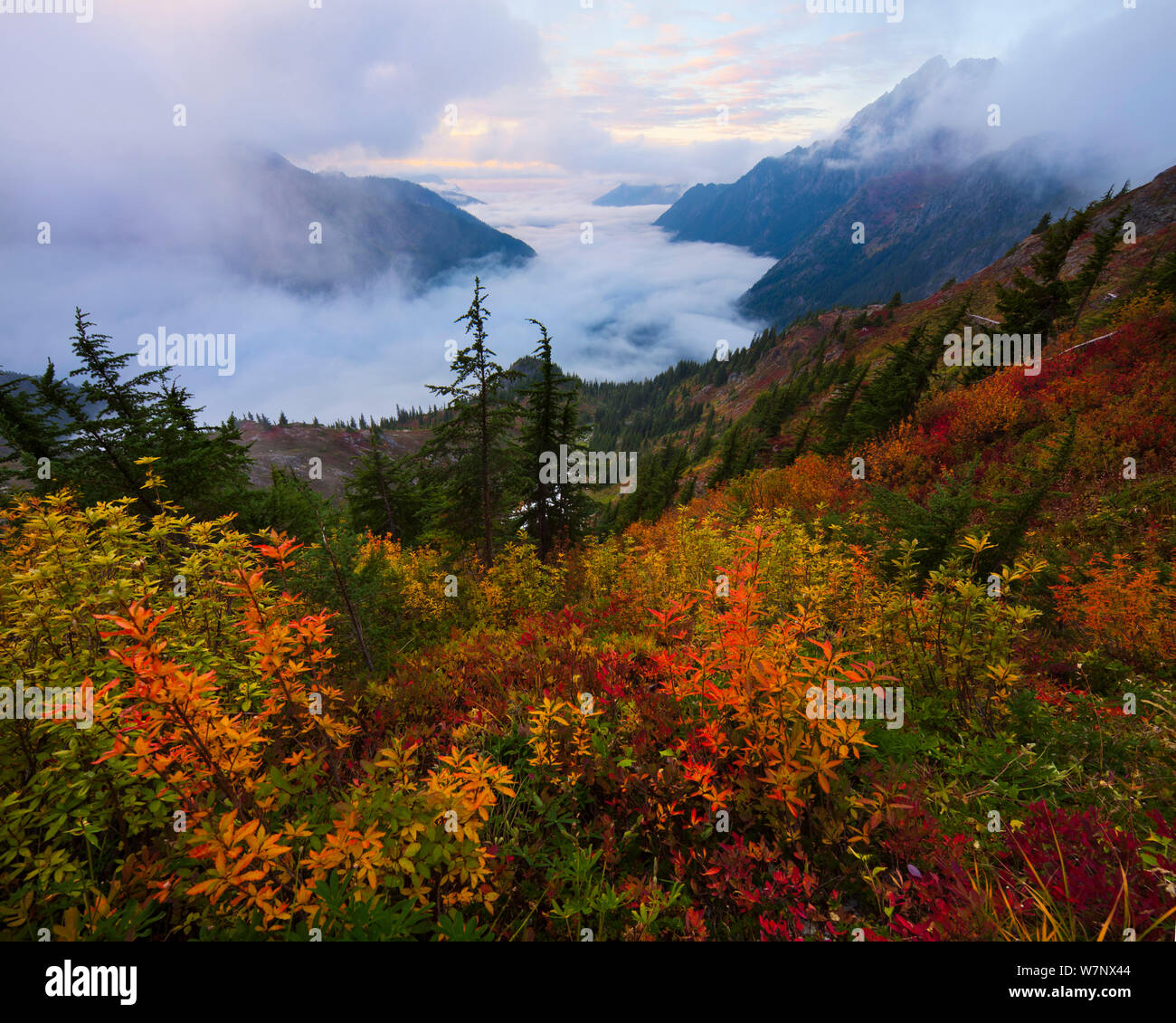 Border of a slope hi-res stock photography and images - Alamy
