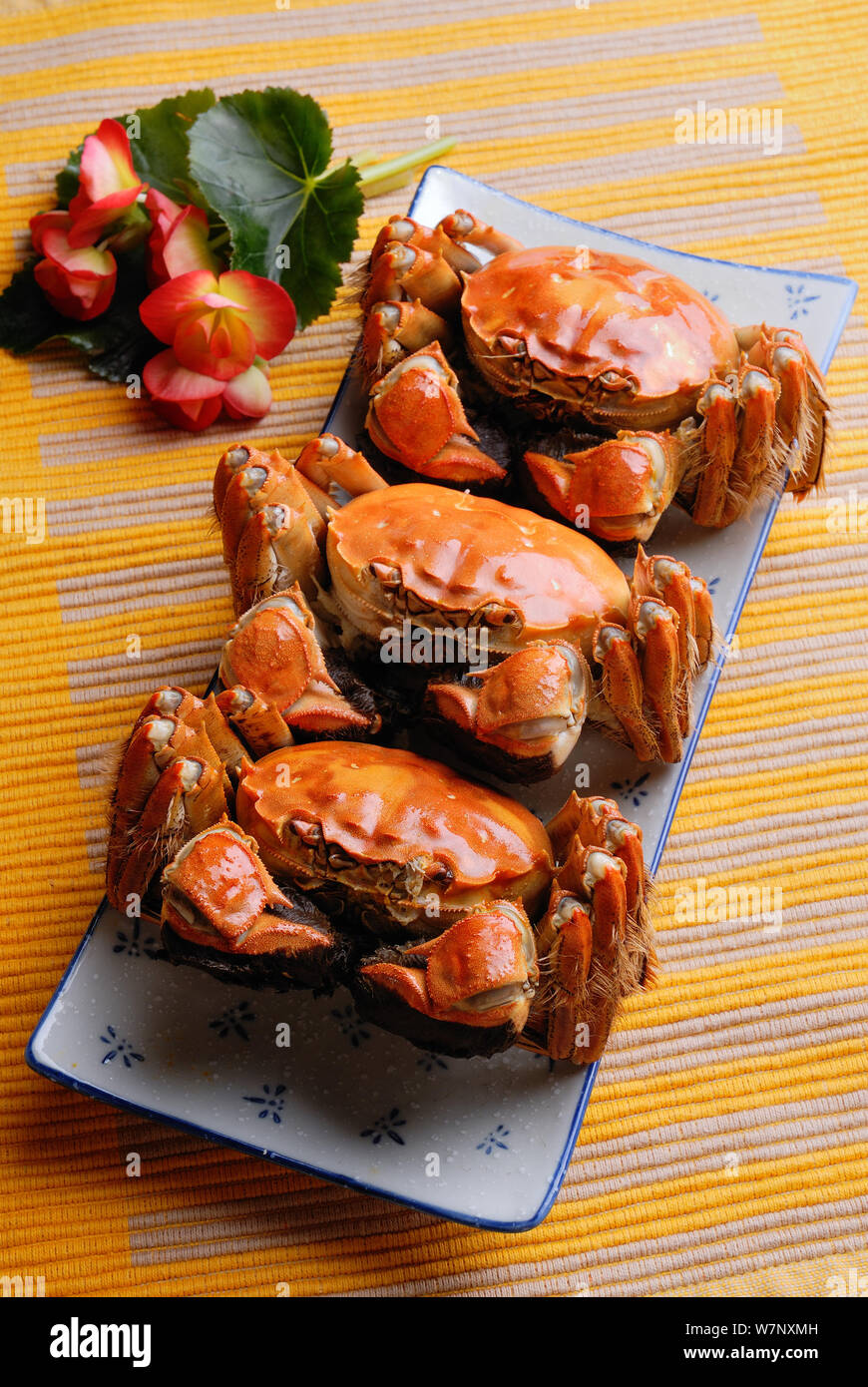Shanghai hairy crabs hi-res stock photography and images - Alamy