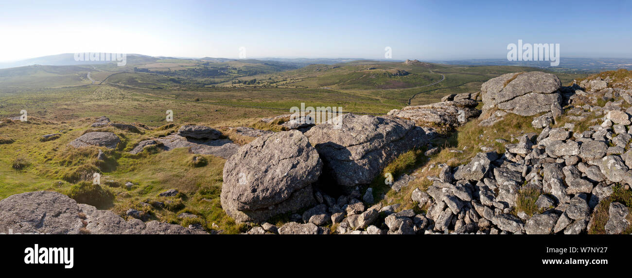 Moorland from Rippon Tor. Dartmoor National Park, Devon, UK, June 2011 ...