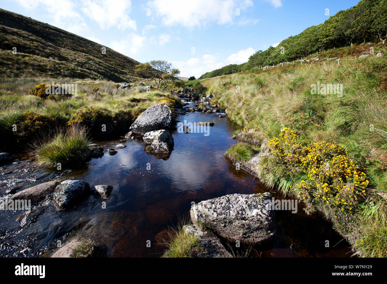 Devon rivers hi-res stock photography and images - Alamy
