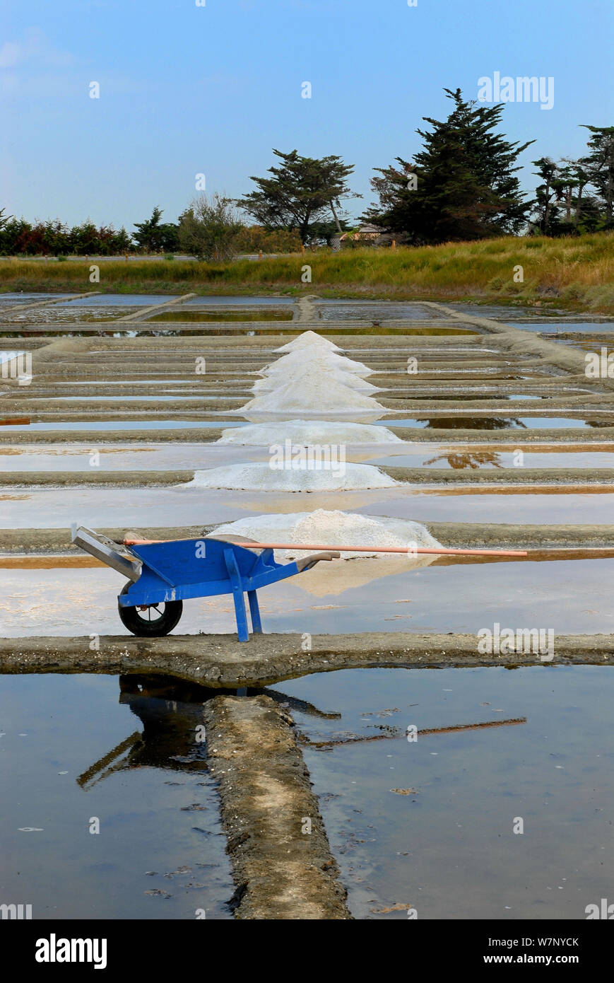 Evaporation pools at a salt marsh. Noirmoutier Island, France, July ...