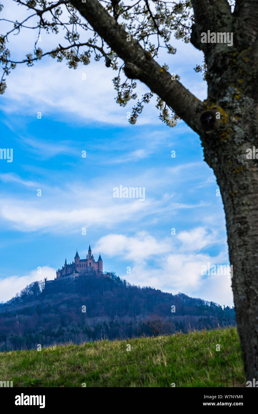 Germany, Hohenzollern castle in springtime behind a tree Stock Photo ...