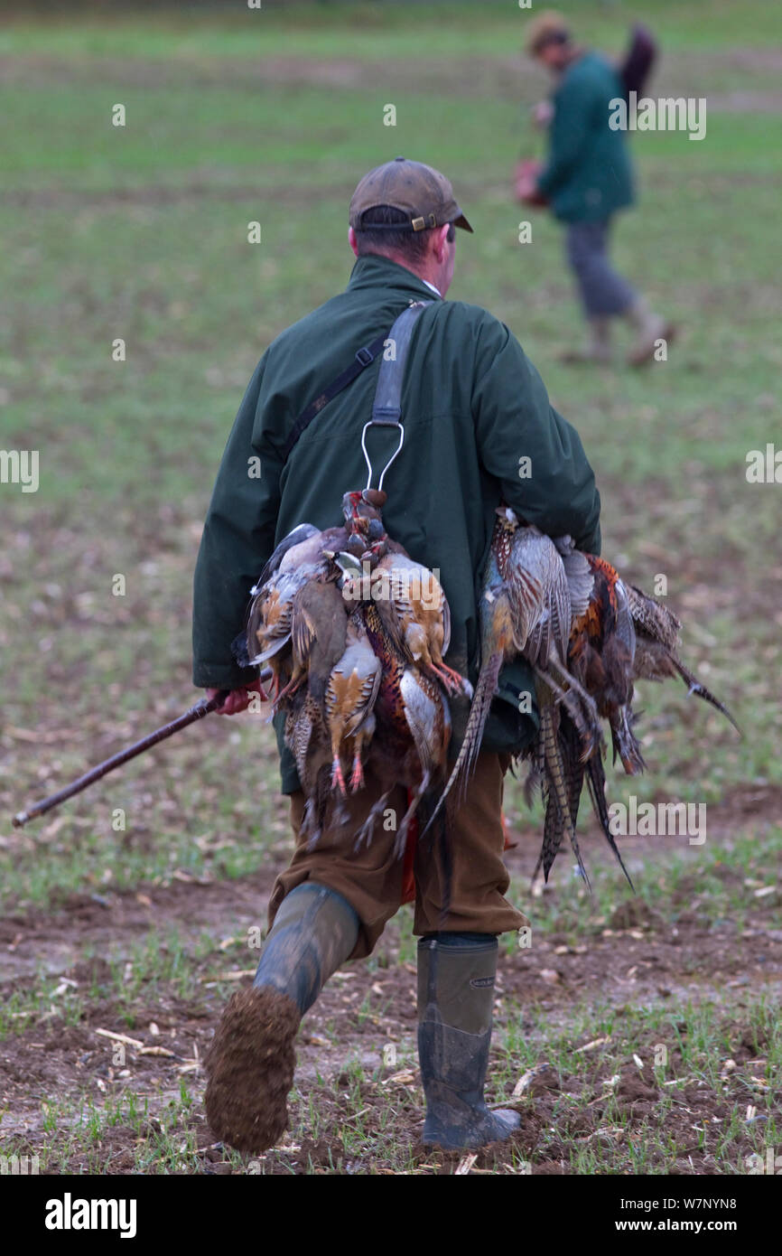 Man shooting birds hi-res stock photography and images - Alamy