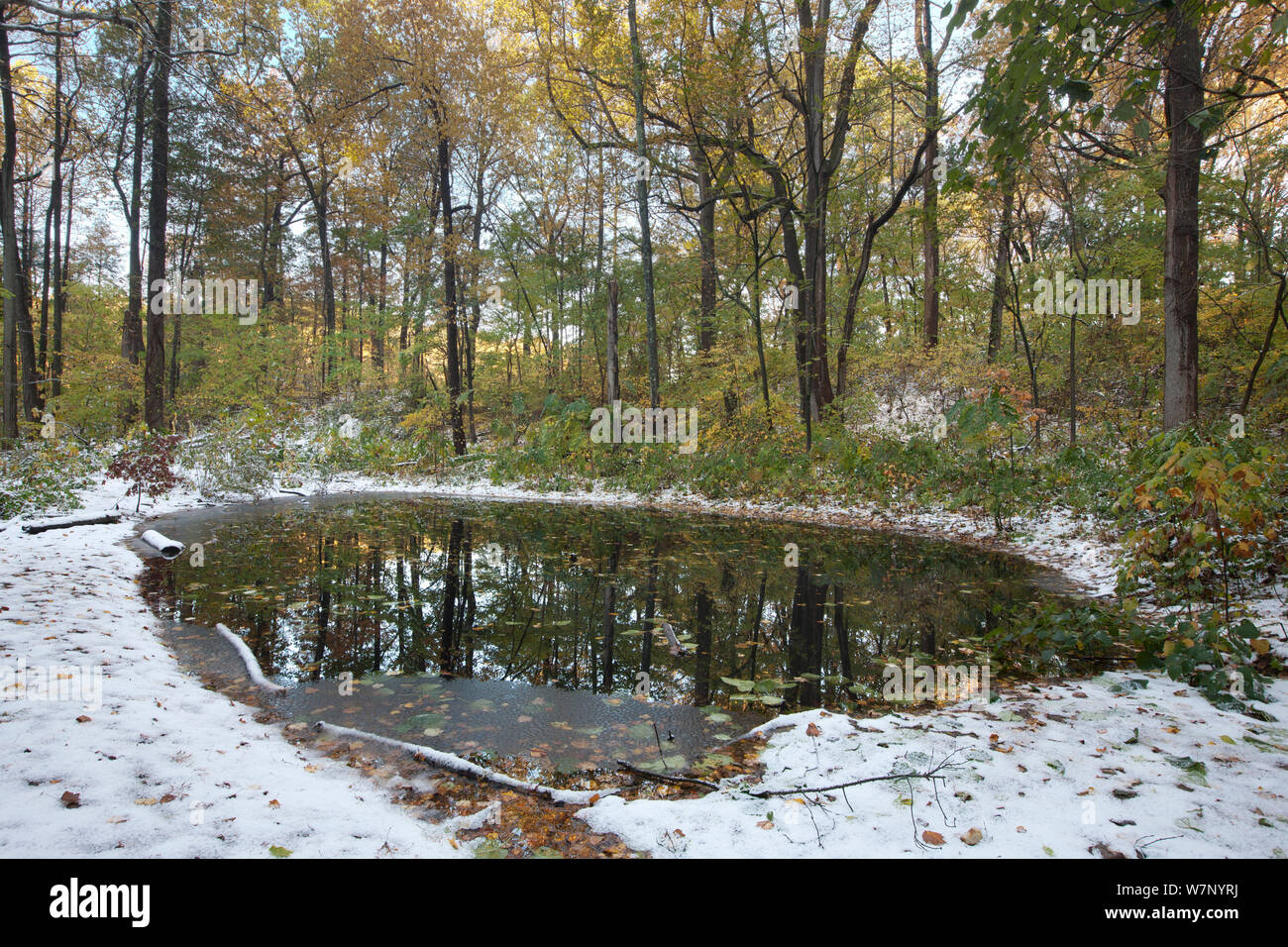 Man made ponds hi-res stock photography and images - Alamy