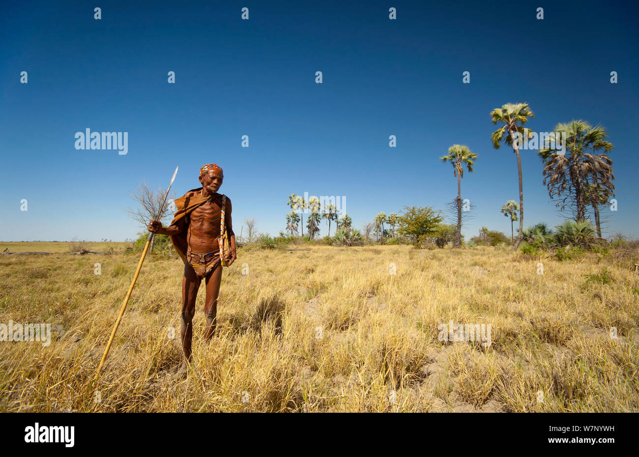 Bushman Hunting High Resolution Stock Photography and Images - Alamy