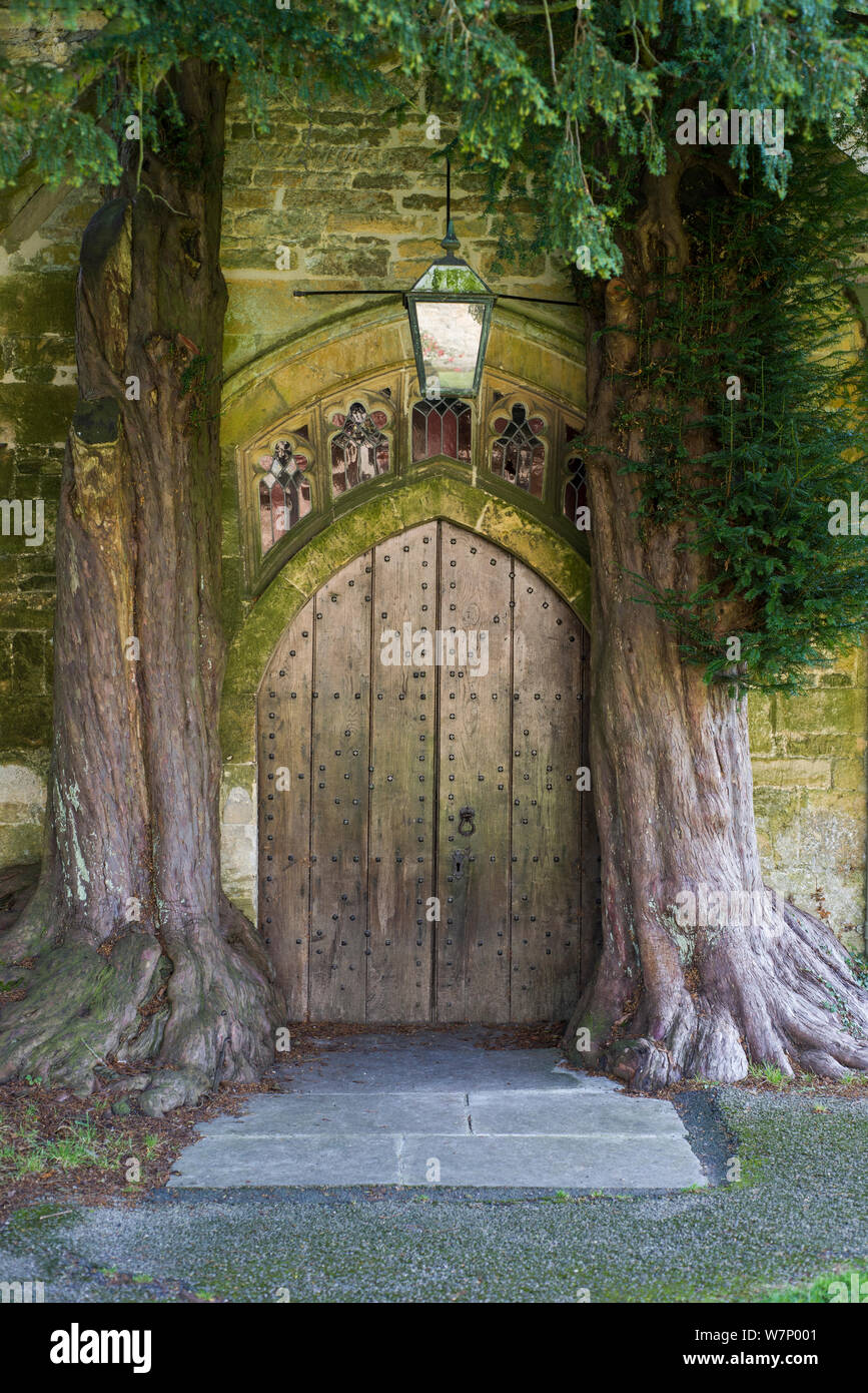 Trees with doors hi-res stock photography and images - Alamy