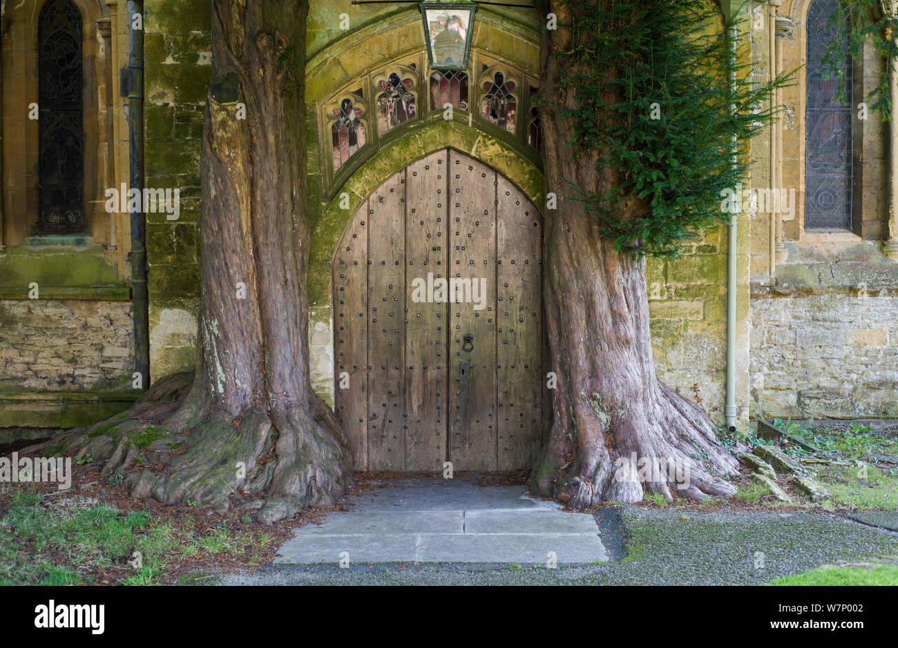Trees with doors hi-res stock photography and images - Alamy