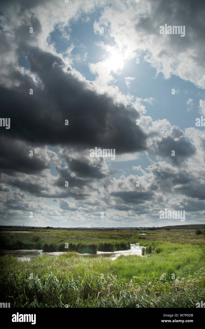 General View of the Rainham Marshes Nature Reserve , in Essex Stock ...