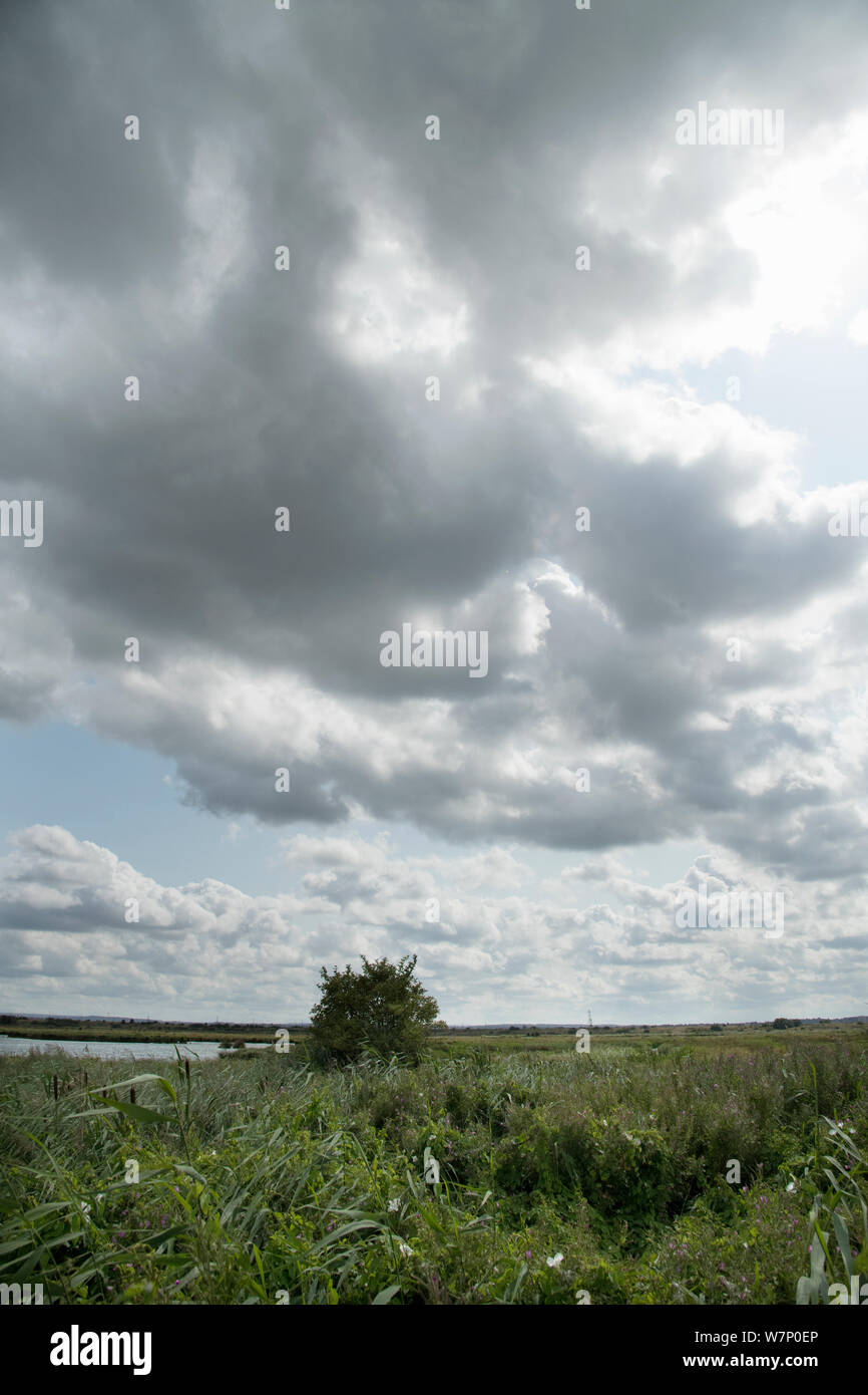 Rainham marshes nature reserve hi-res stock photography and images - Alamy