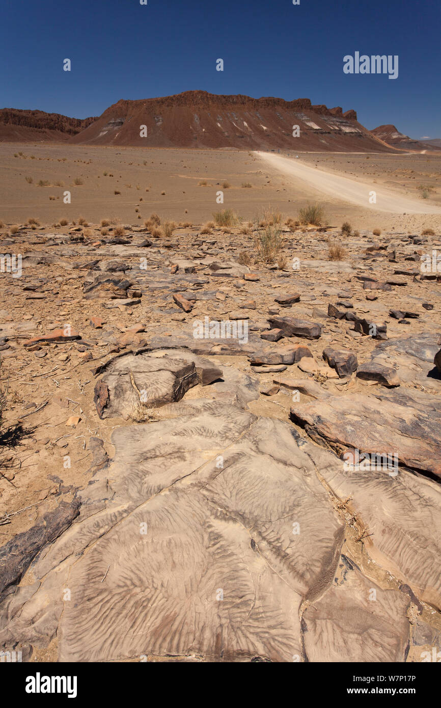 Erosion landscapes hi-res stock photography and images - Alamy