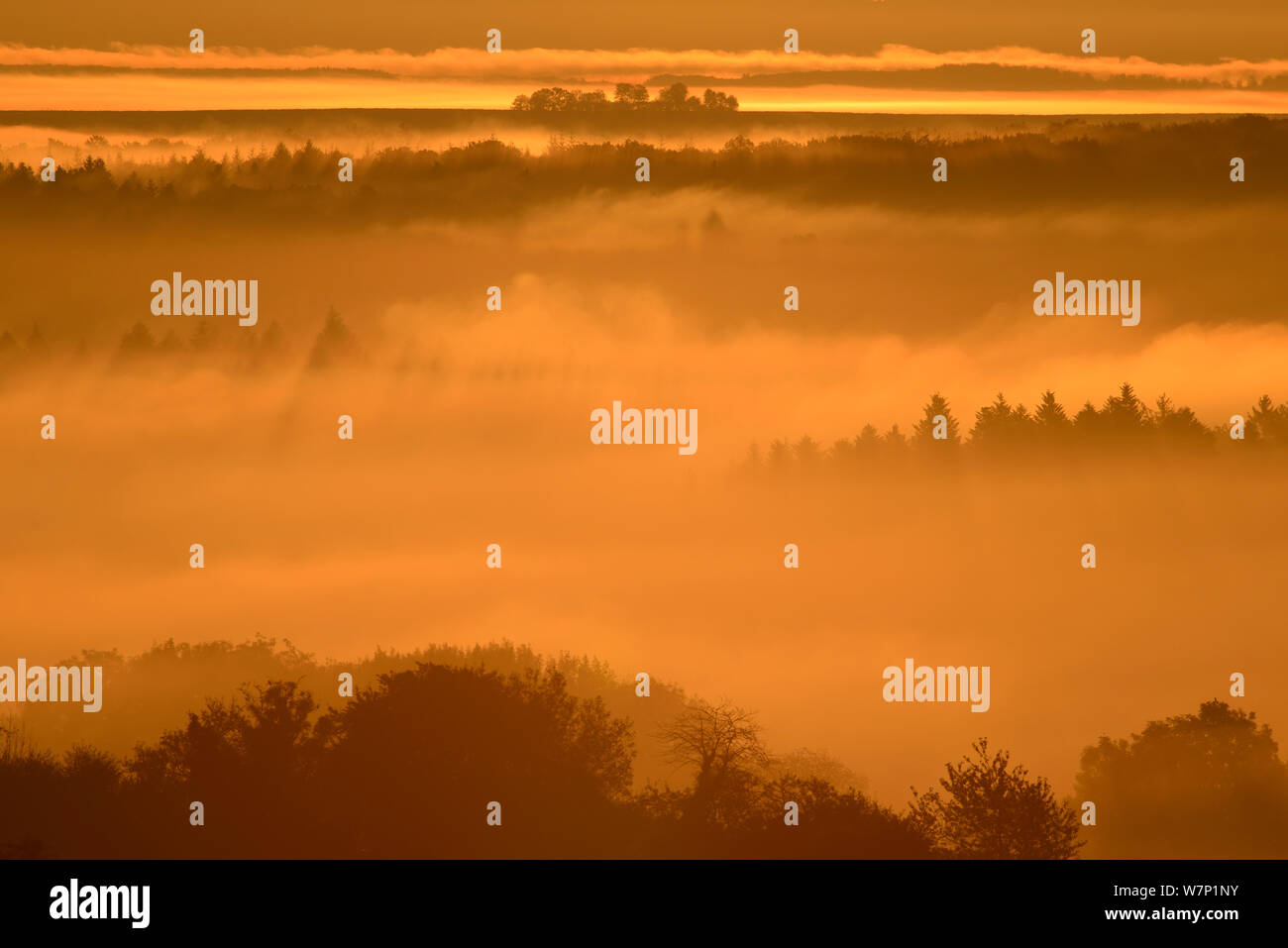Calm forest october hi-res stock photography and images - Alamy