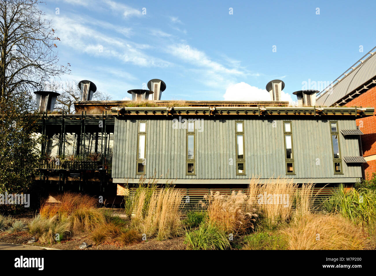 The Centre for Understanding the Environment (CUE) an eco building with ...