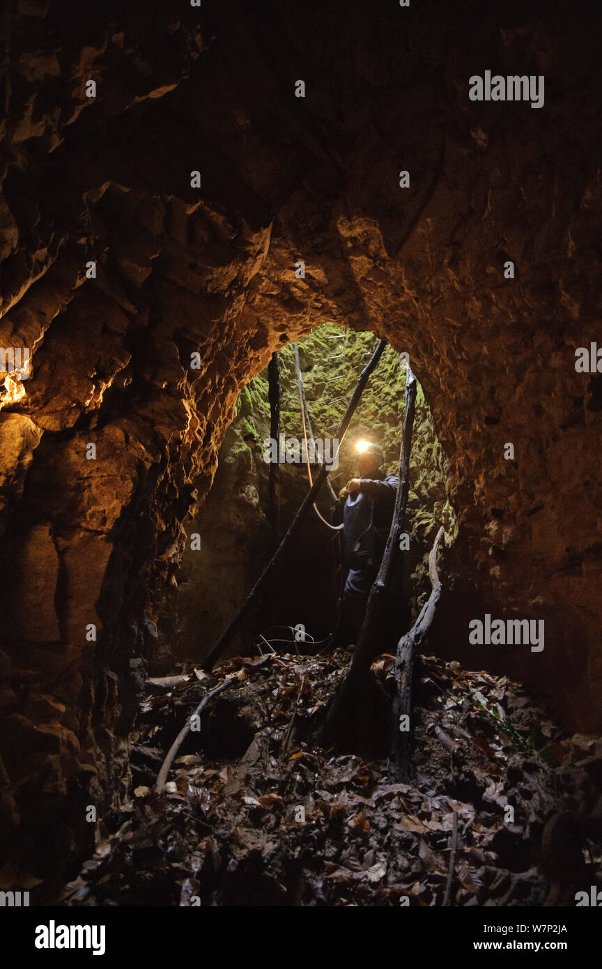 Kent Bat Group member surveying a denehole or chalk cave for ...
