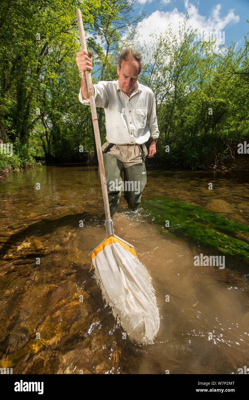 Invertebrate sampling hi-res stock photography and images - Alamy