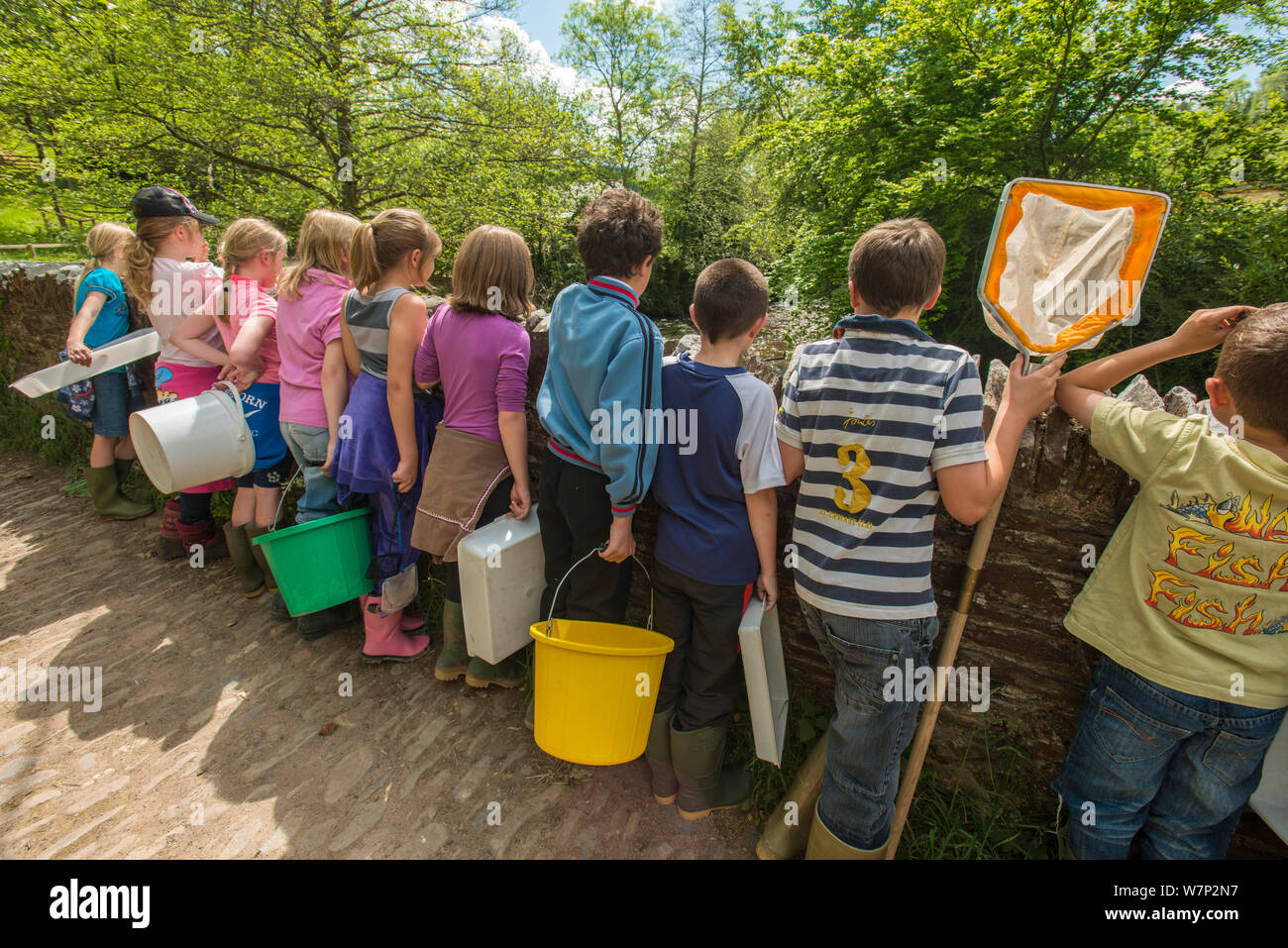 School children with equipment to do kick sampling, invertebrate ...