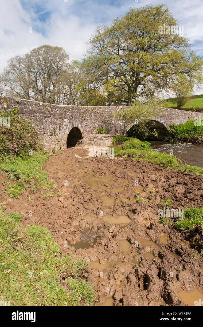 Cornwall countryside hi-res stock photography and images - Alamy