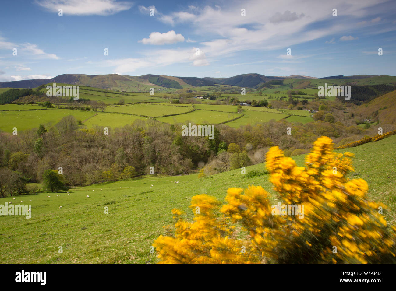 Pumlumon project hi-res stock photography and images - Alamy