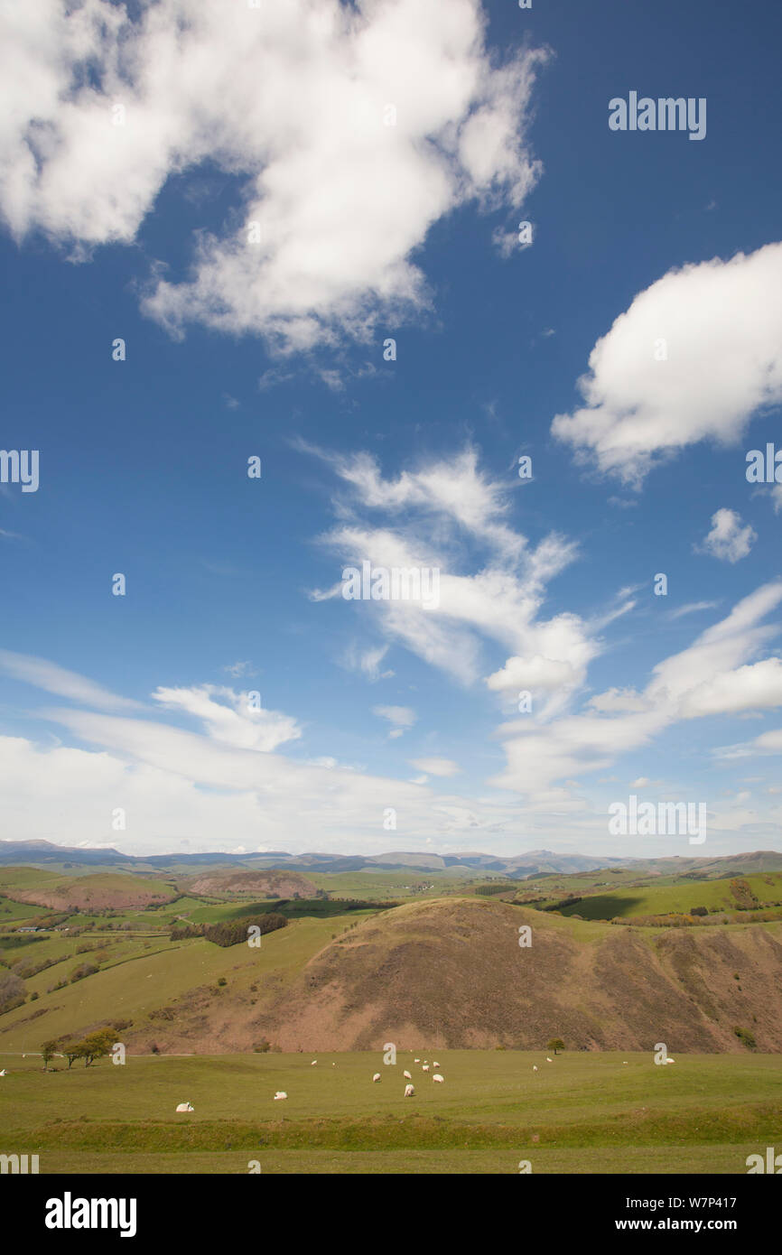 View over agricultural upland landscape on the edge of Pumlumon Living ...