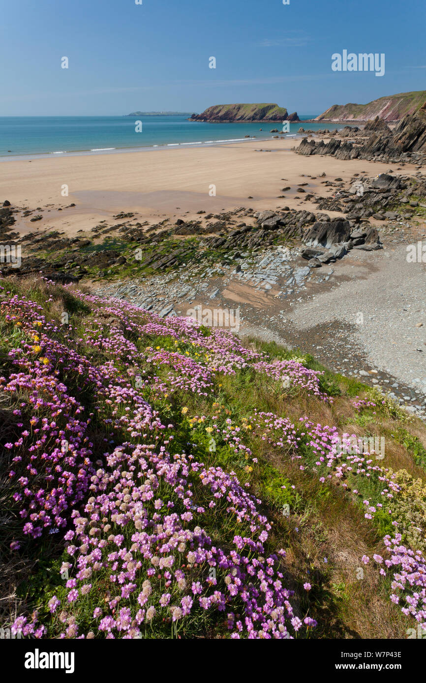 Pink beaches hi-res stock photography and images - Alamy
