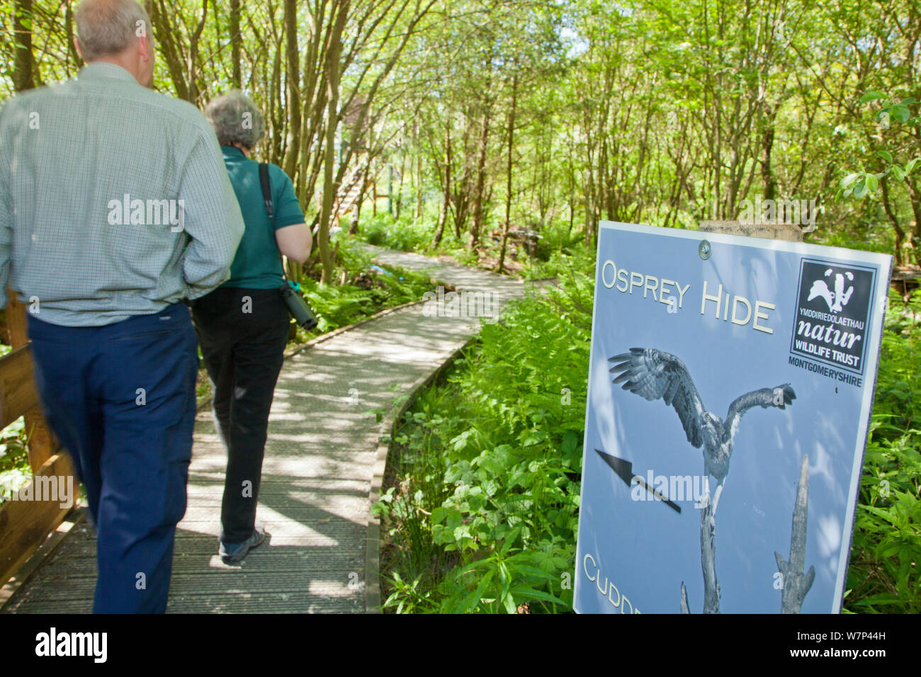 Birdwatchers walking towards the Osprey hide, Dyfi Osprey Project ...