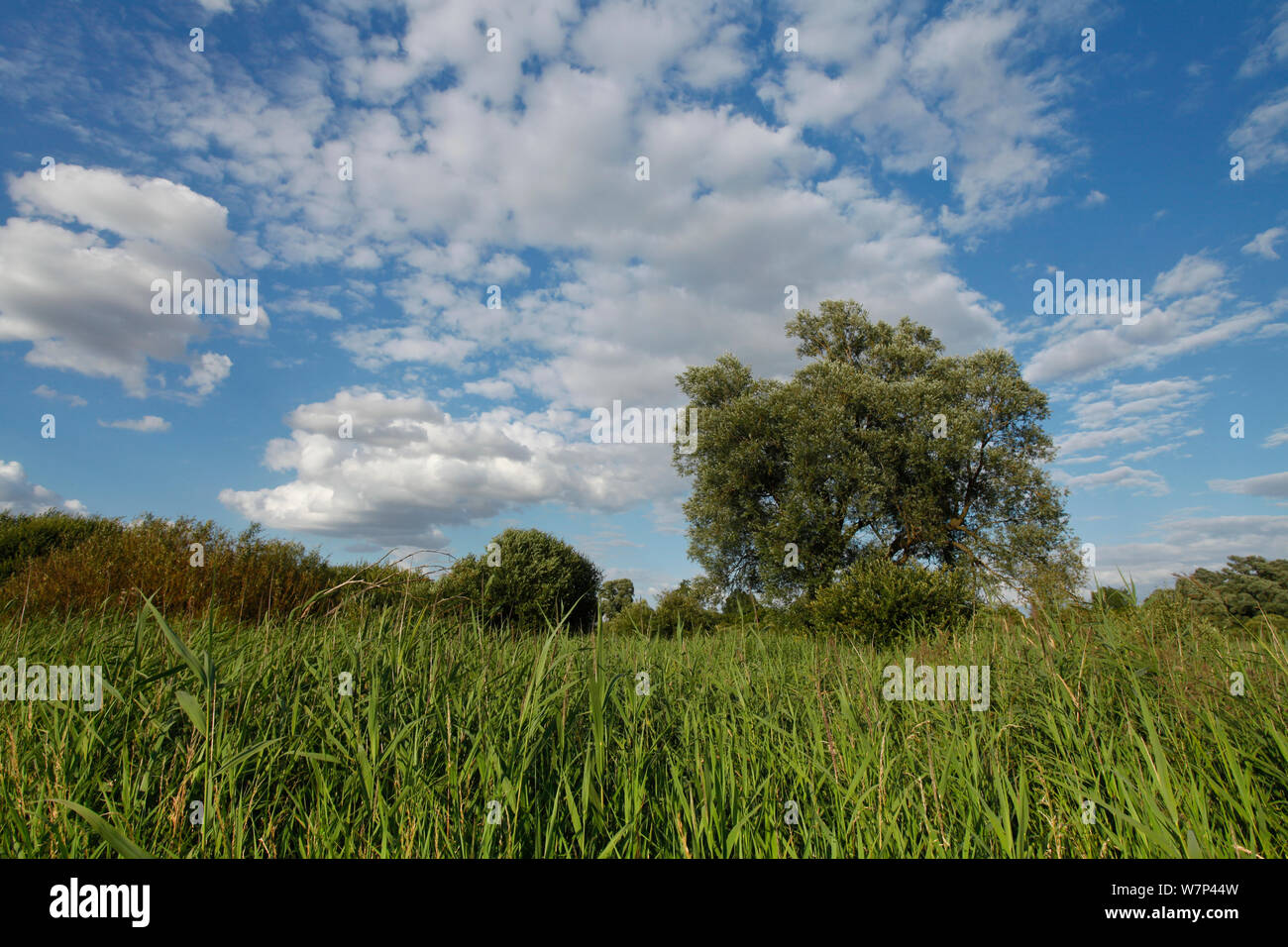 Fen landscapes hi-res stock photography and images - Alamy