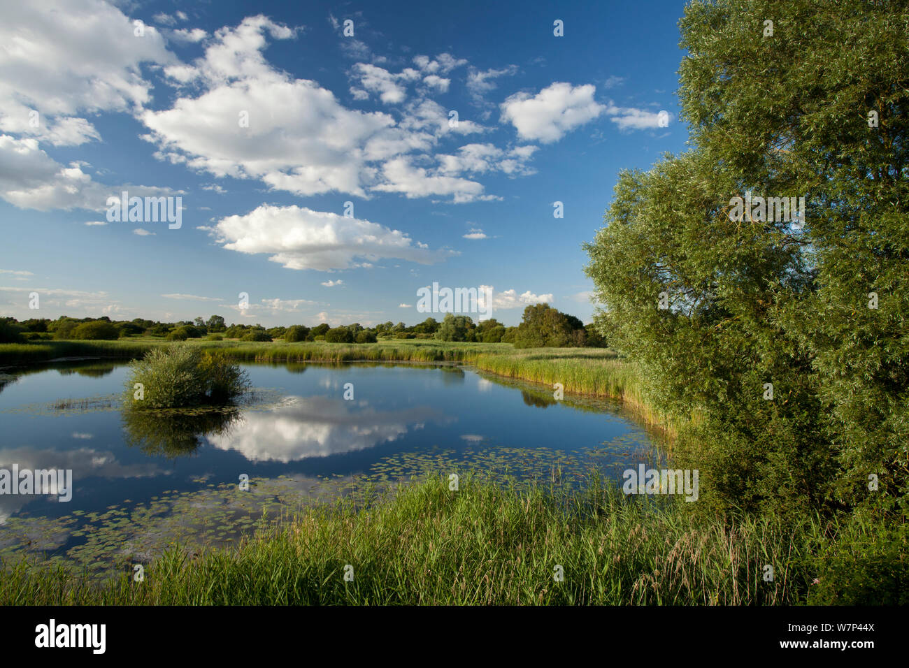 Wetland project hi-res stock photography and images - Alamy