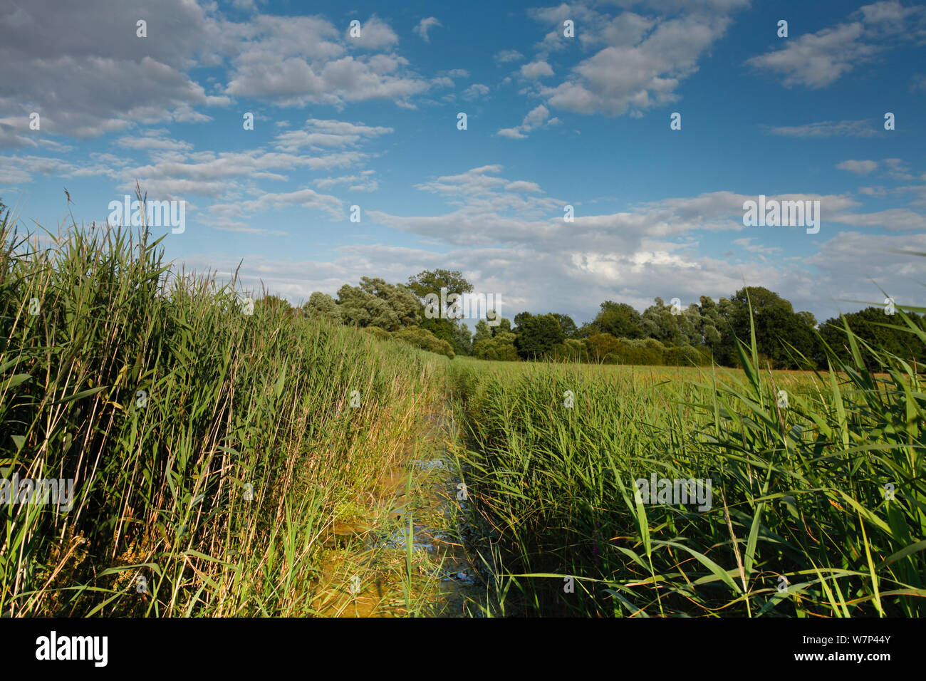Fen landscapes hi-res stock photography and images - Alamy