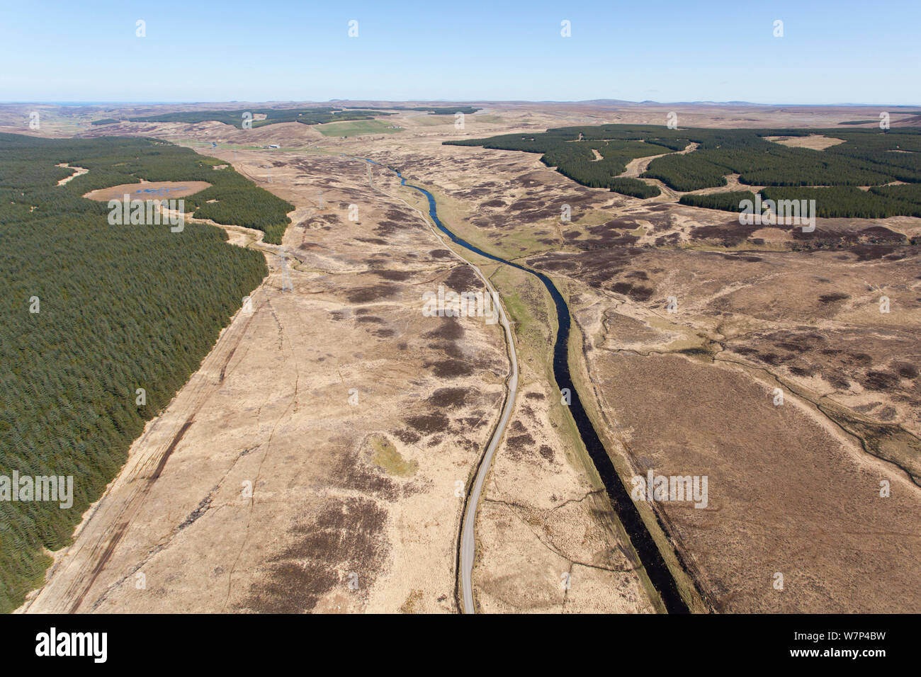 Aerial view of Forsinard Flows blanket bog, with conifer plantations ...