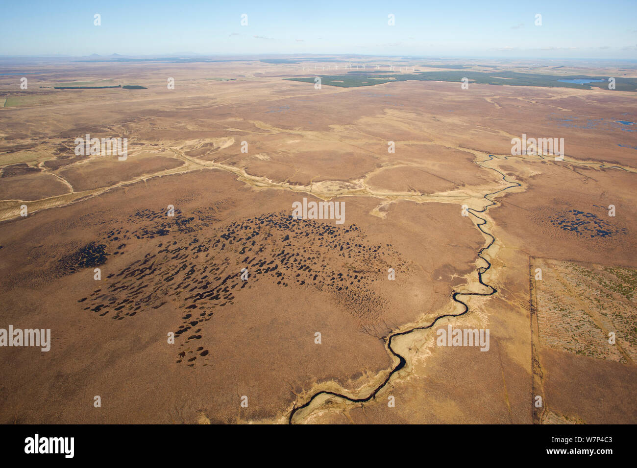 Aerial view of Forsinard Flows blanket bog, with conifer plantations ...