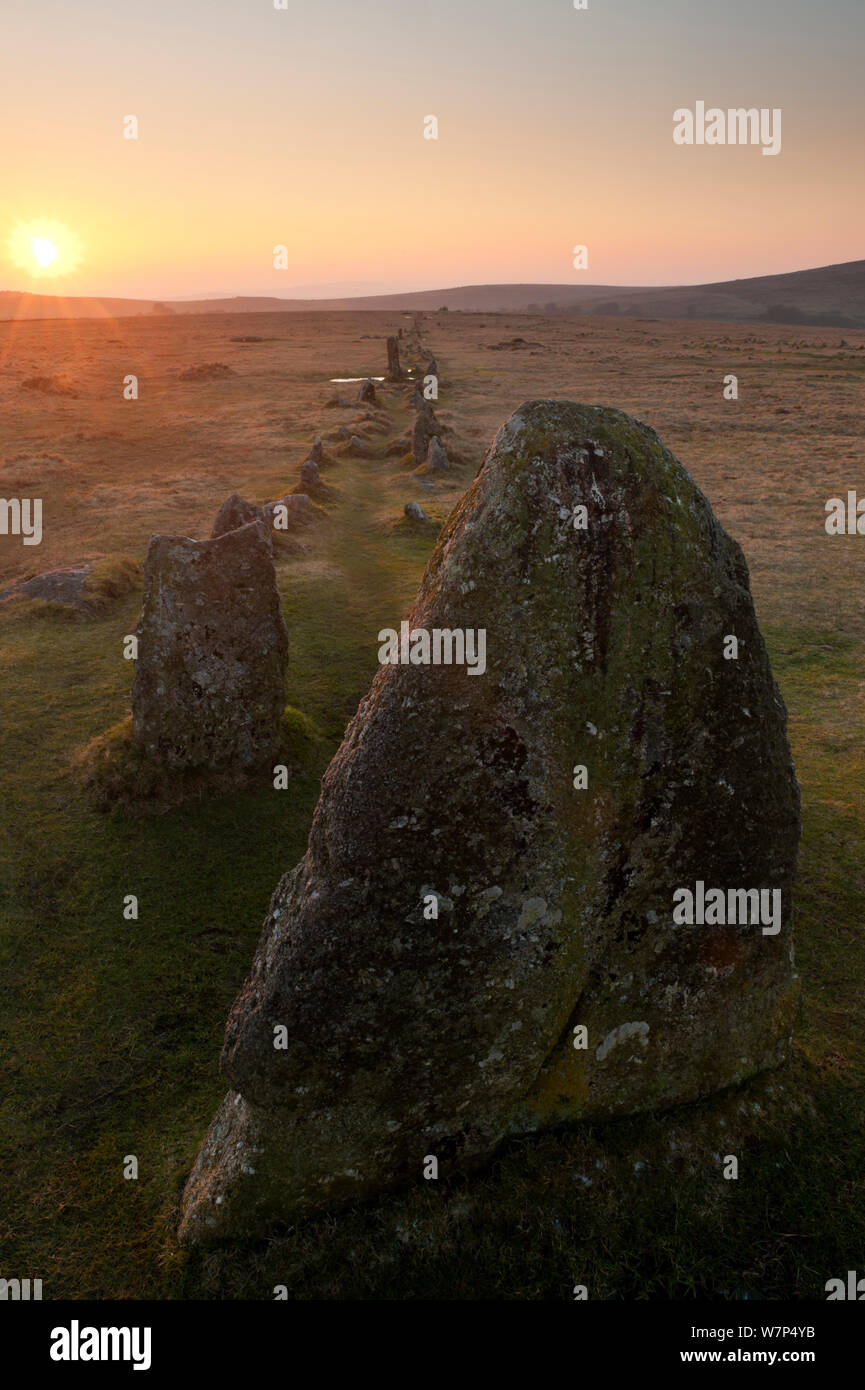 Merrivale ancient Stone Row at sunset, Dartmoor National Park, Devon ...