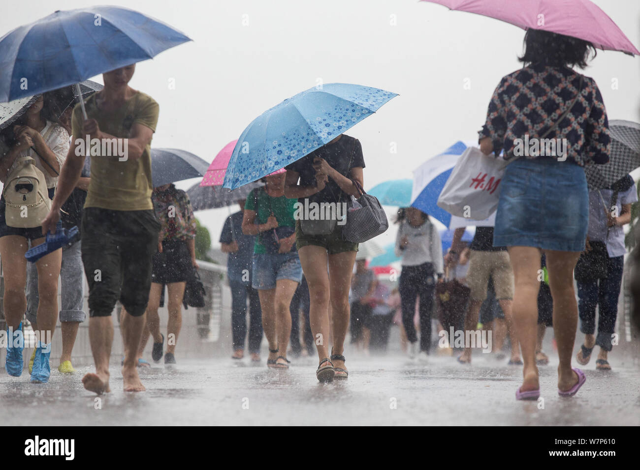 Chinese commuters struggle with their umbrellas in heavy rain and ...