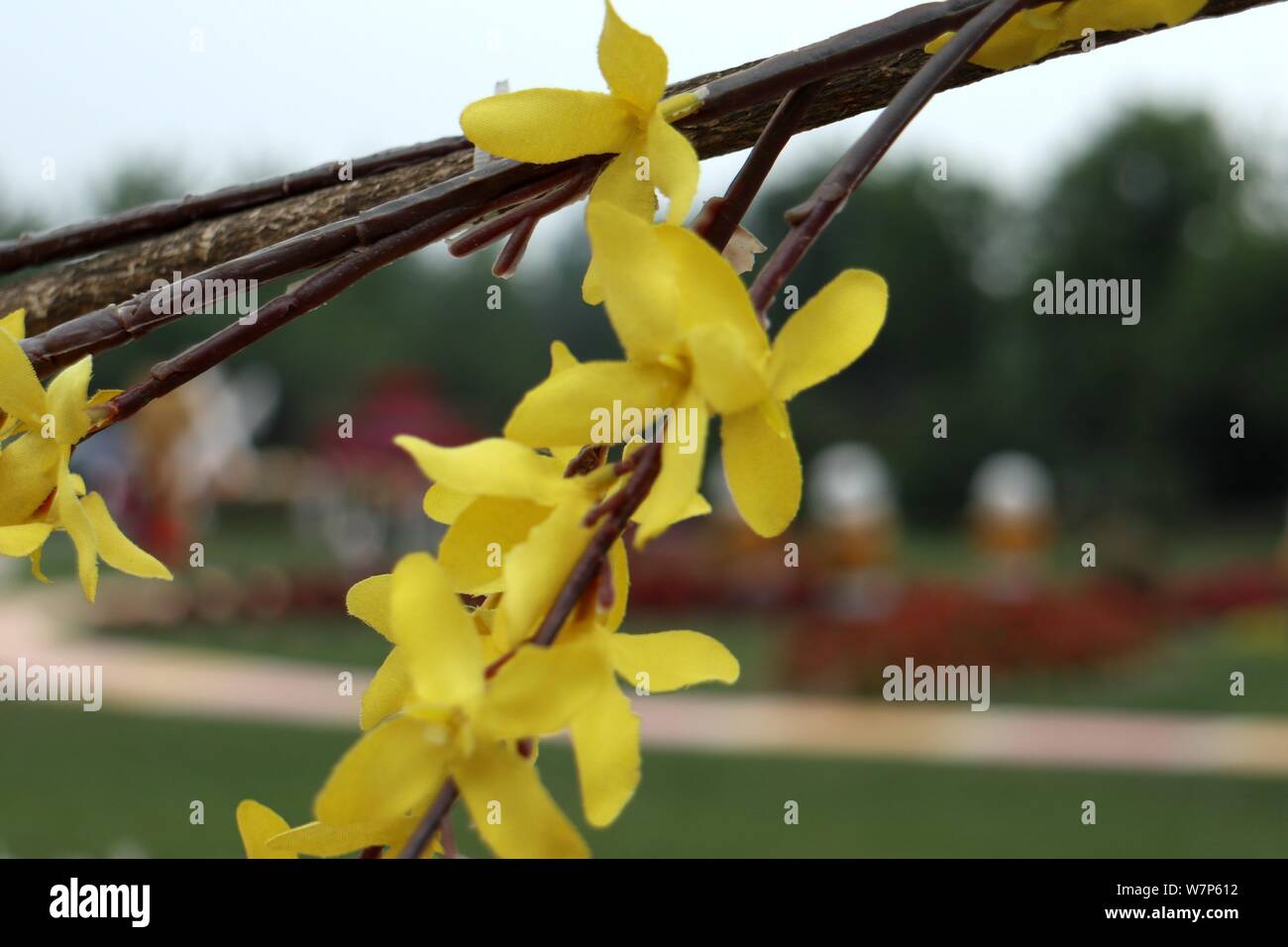 Bald spot hi-res stock photography and images - Alamy