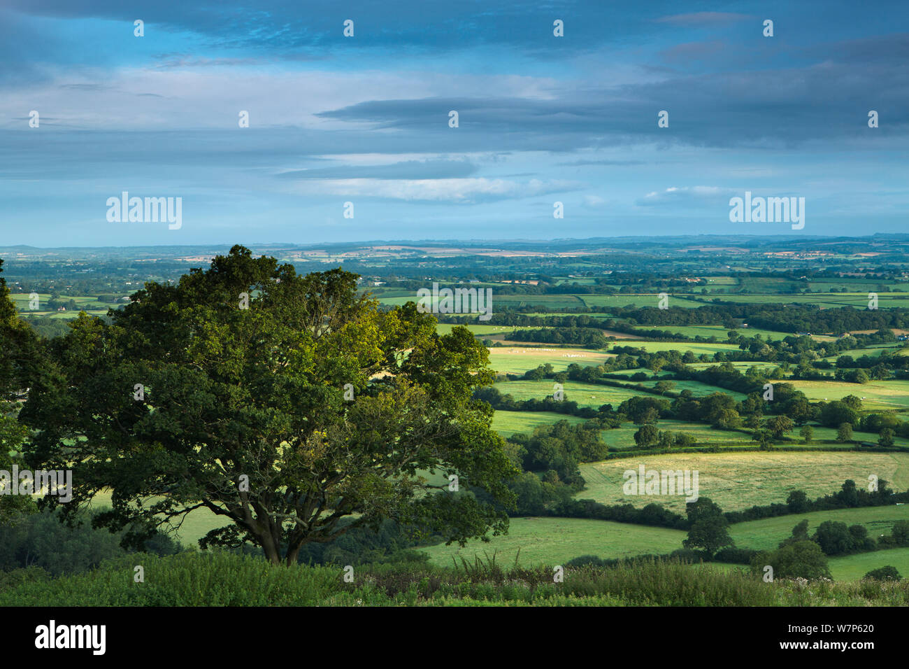 The Blackmore Vale from Bulbarrow Hill, Dorset, UK August 2012 Stock ...