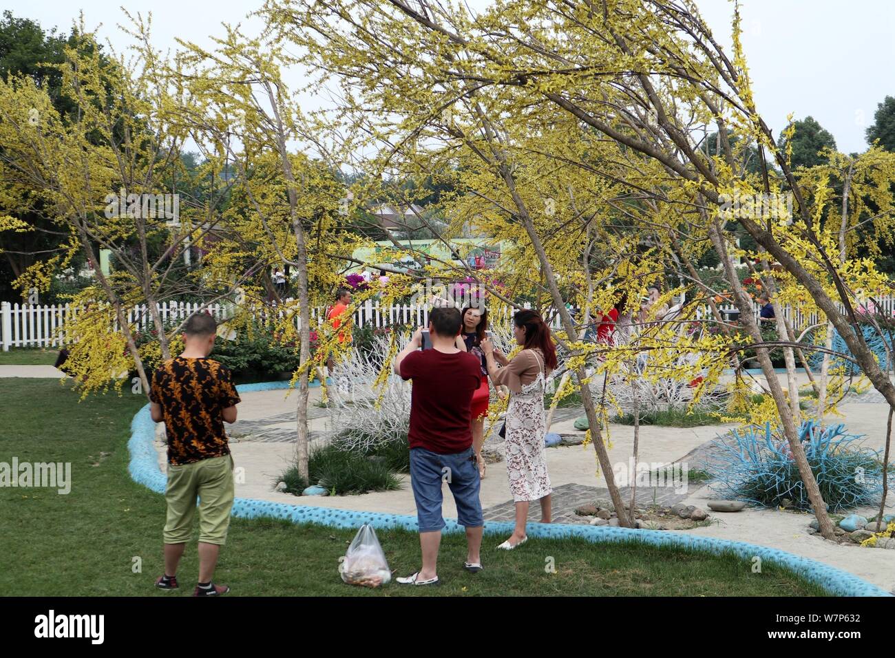 Tourists take photos of the bald trees at a flower-themed scenic spot ...