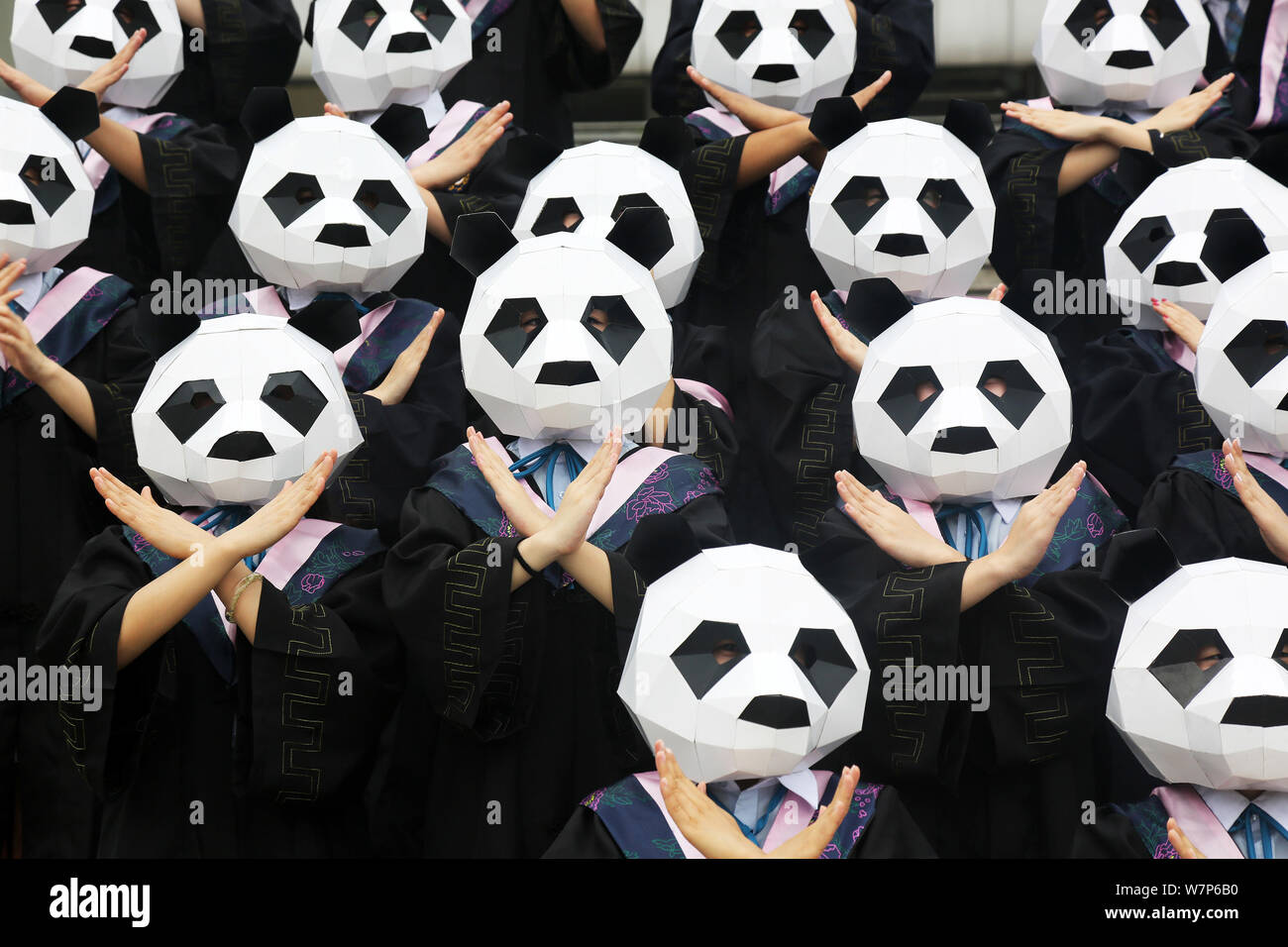 Giant panda sign hi-res stock photography and images - Alamy
