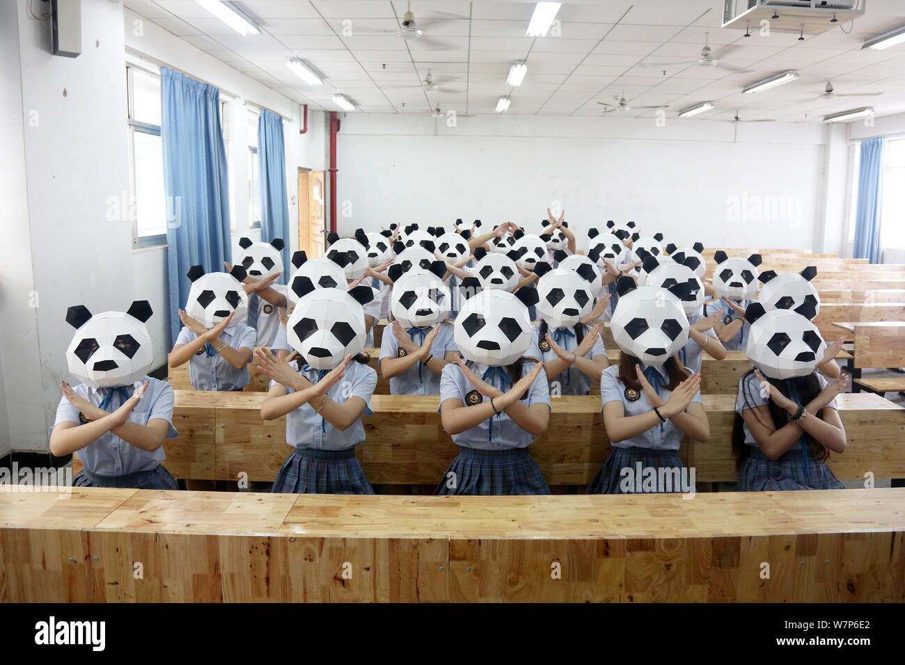 Giant panda sign hi-res stock photography and images - Alamy