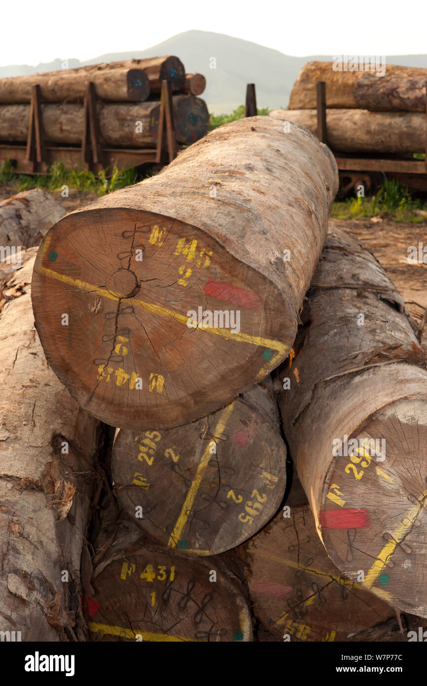 Timber extraction hi-res stock photography and images - Alamy