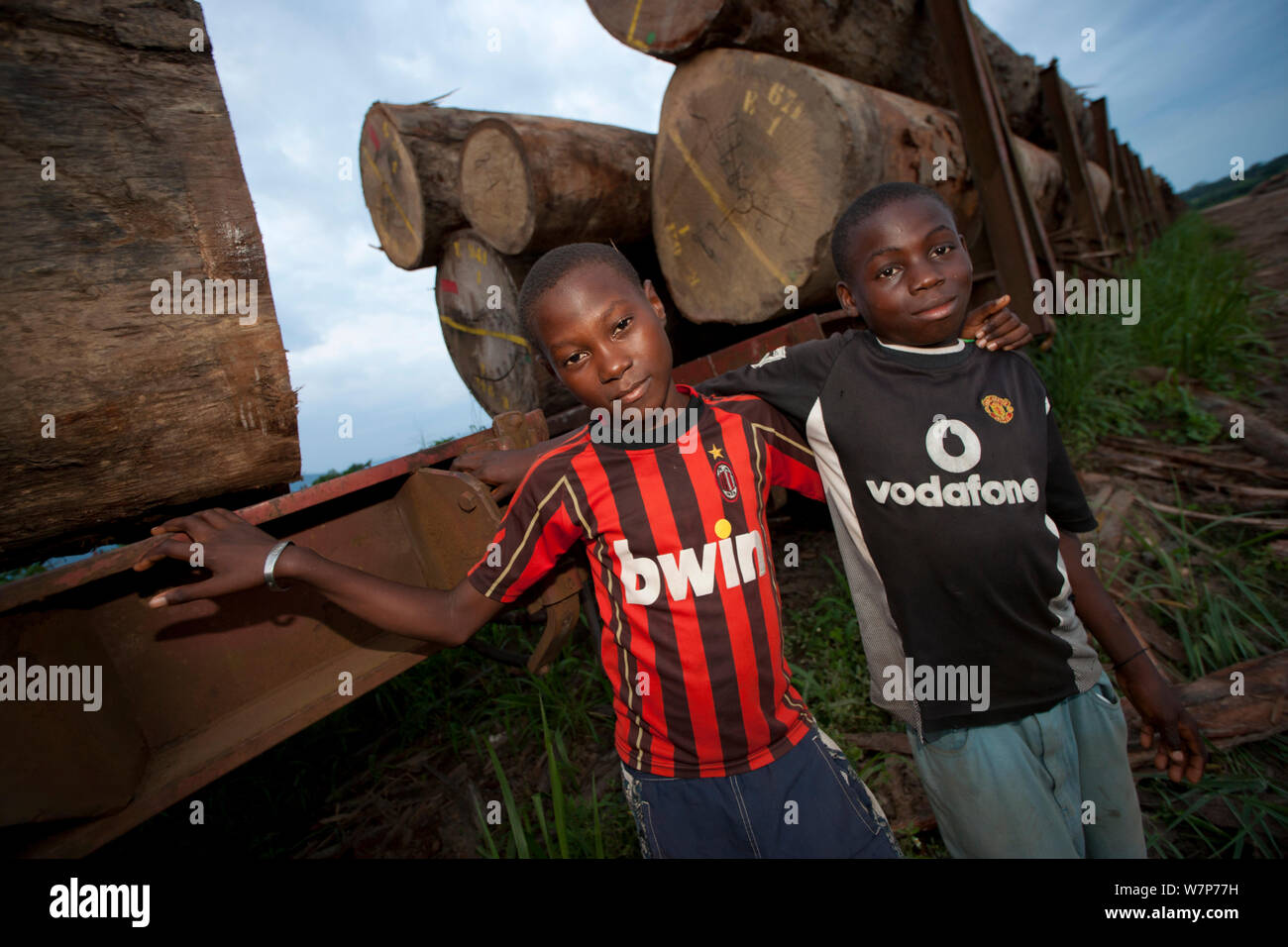 Two boys stand close to railway trucks loaded with hardwood timber logs ...