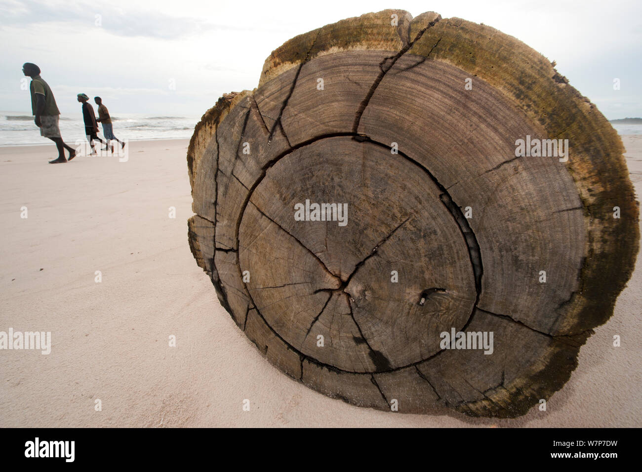 Washed overboard hi-res stock photography and images - Alamy