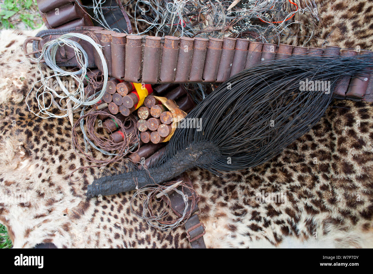 Poaching snares hi-res stock photography and images - Alamy