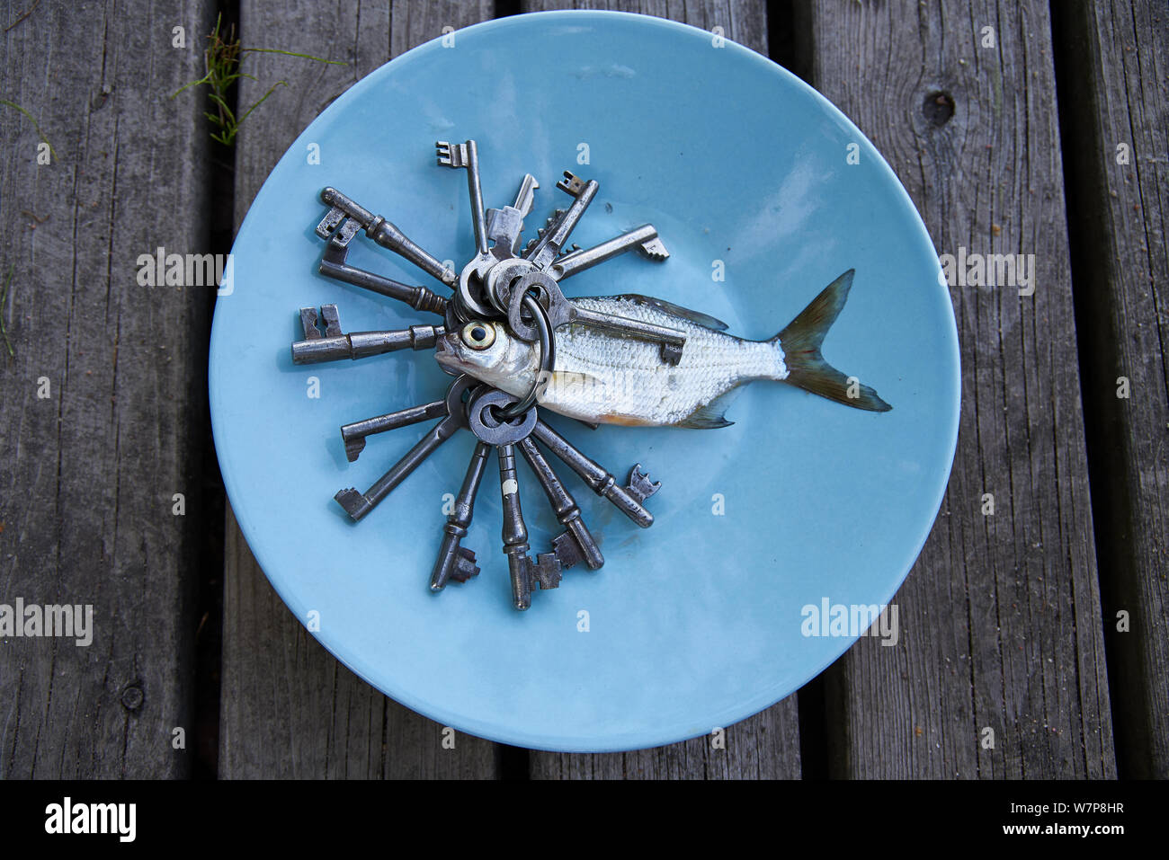 Small silver fish on a blue plate with antique key and wooden grey ...