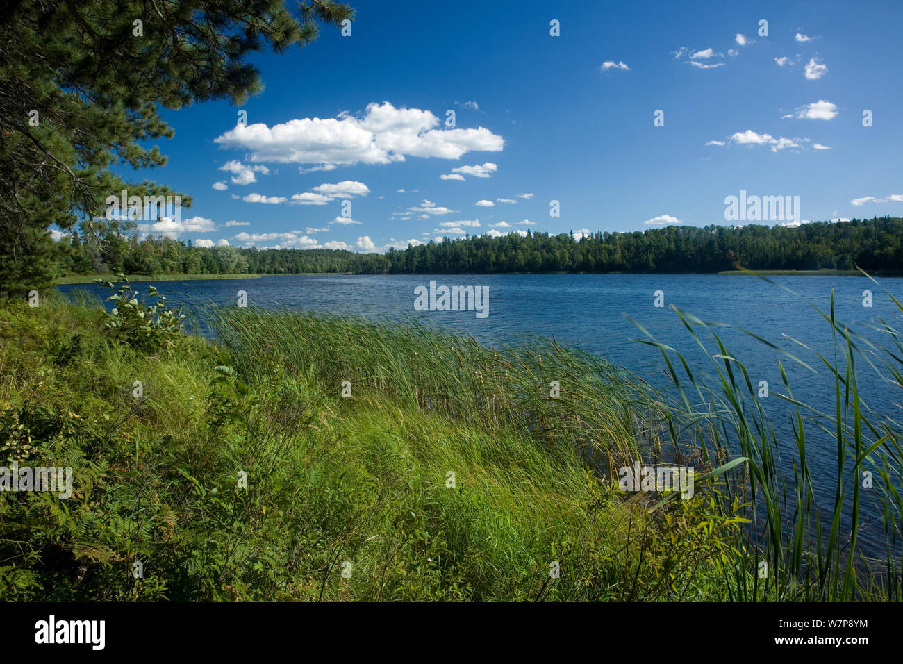View of Blind Ash Bay along the Blind Ash Bay Trail in Voyageurs ...