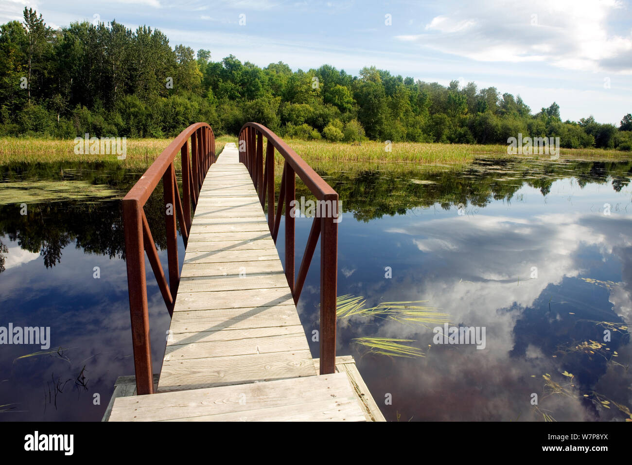 Bridge crossing Daley Bay along the Kab-Ash Trail in Voyageurs National ...