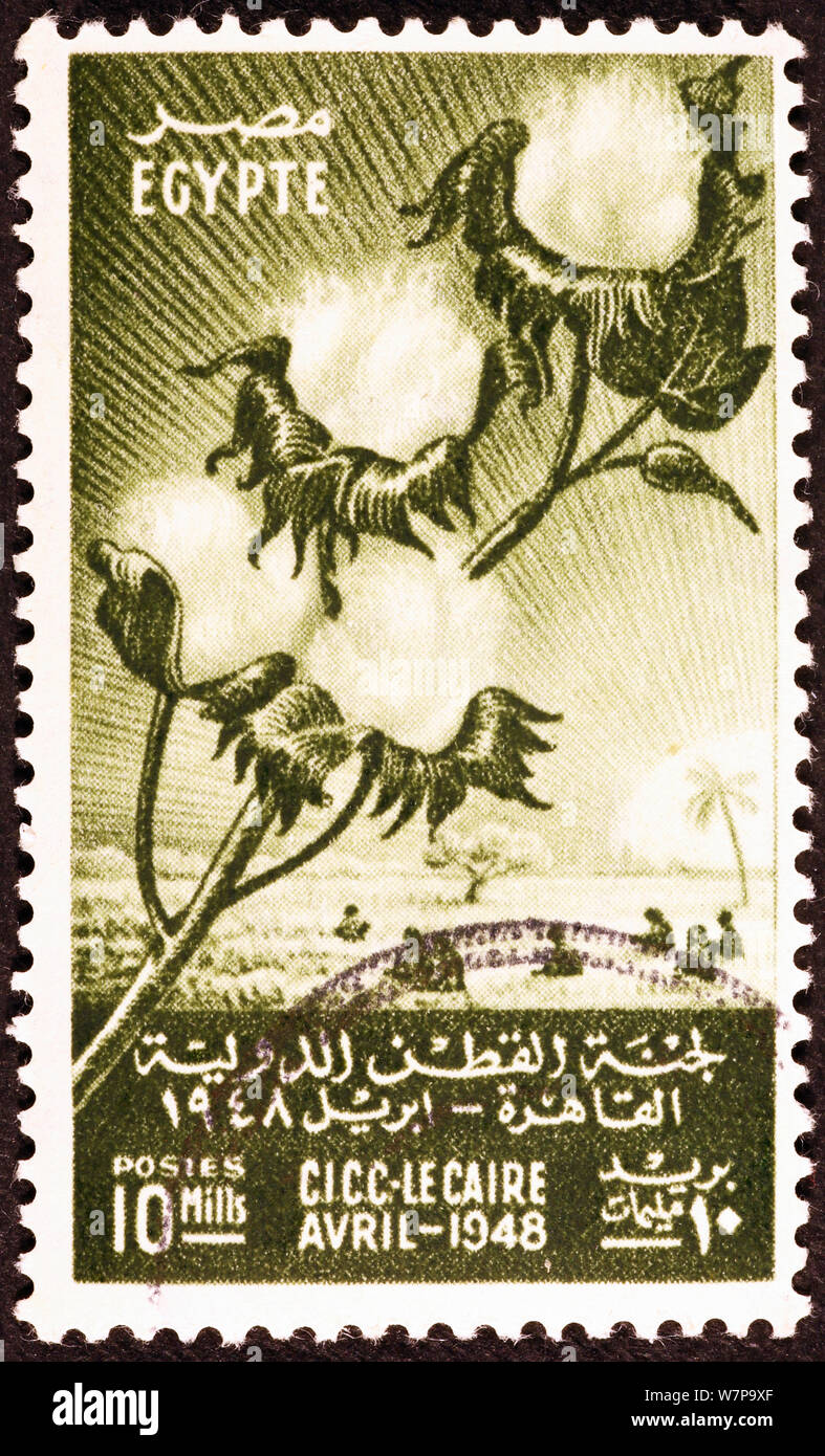 Egyptian postage stamp hi-res stock photography and images - Alamy